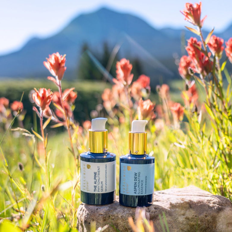 Vibrant Skin Duo– TellurideGlow